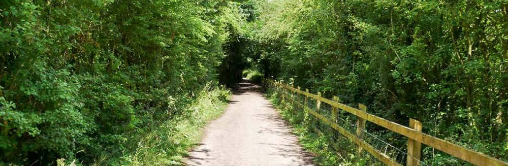 Top Attractions for History, Culture, and Nature - Visit Northwich