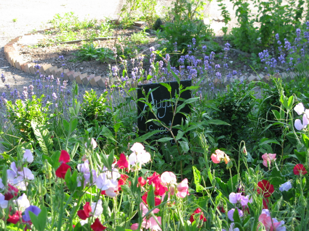 Grozone Community Garden - Visit Northwich