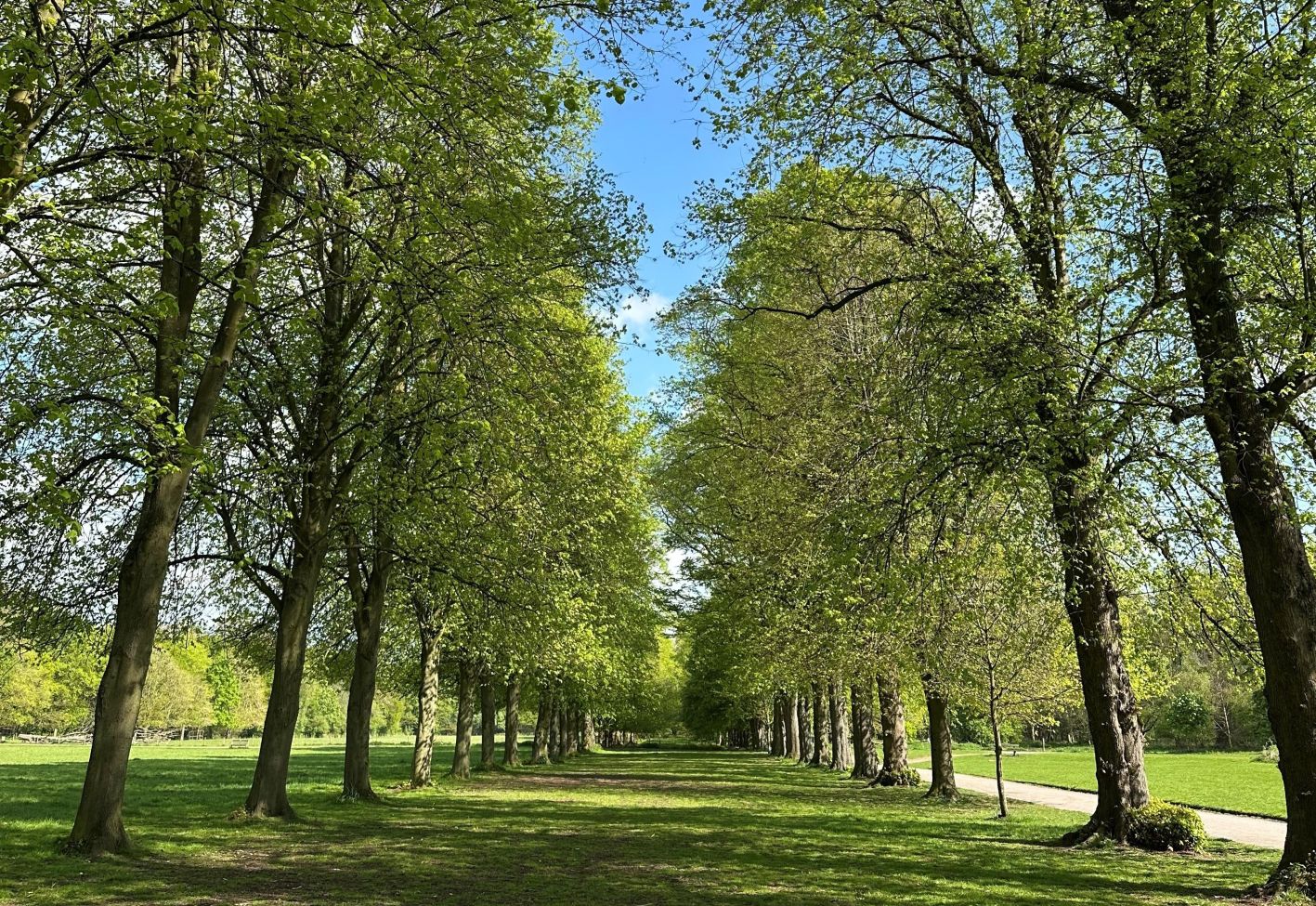 Spring Has Sprung in Northwich: Fresh Starts, New Energy and Plenty to ...